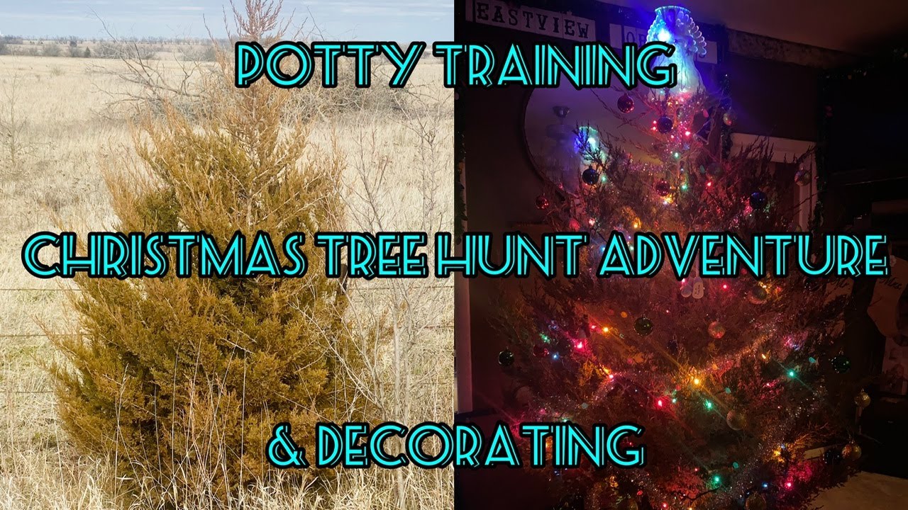 Potty Training, Christmas Tree Adventure and Decorating - YouTube