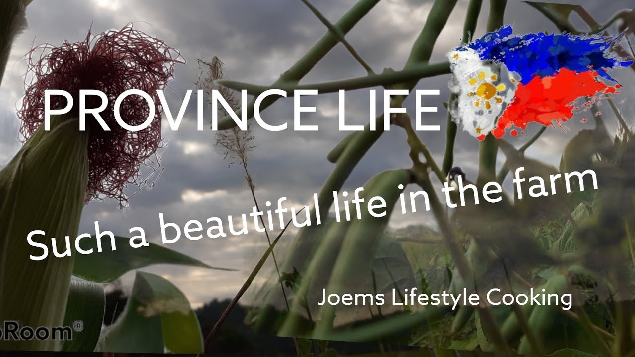 SUCH A BEAUTIFUL LIFE IN THE FARM | PROVINCE LIFE | Joems Lifestyle ...