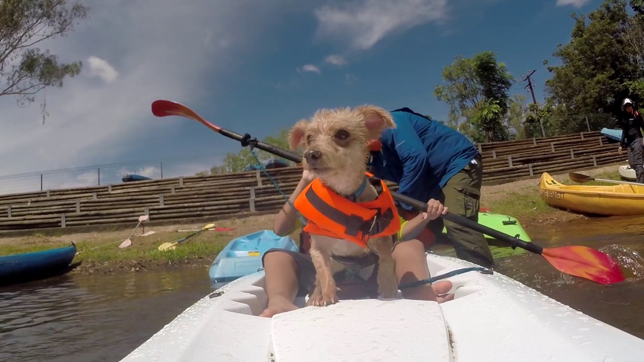 Lake Bennett, Darwin, Australia April 2017 - YouTube