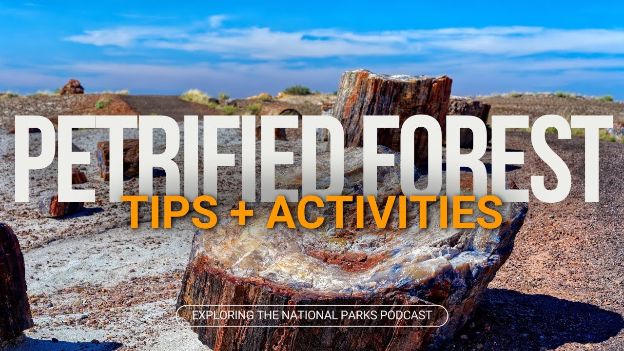 109: Exploring Petrified Forest National Park: Best Tips + Activities ...