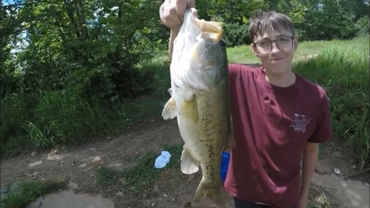 Live bait fishing, Lots of action *Crazy 5 pound bass* - YouTube
