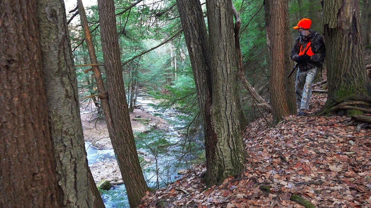 HOW TO HUNT PRESSURED DEER - HUNTING BASICS Pa Rifle Season Deer ...