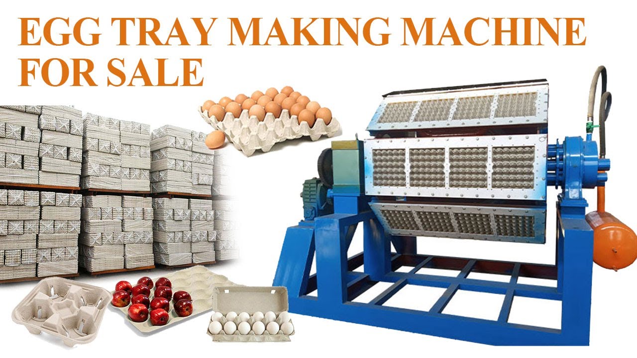 5000pcs/h Egg Tray Machine with Brick Dryer | How to Start Egg Tray ...