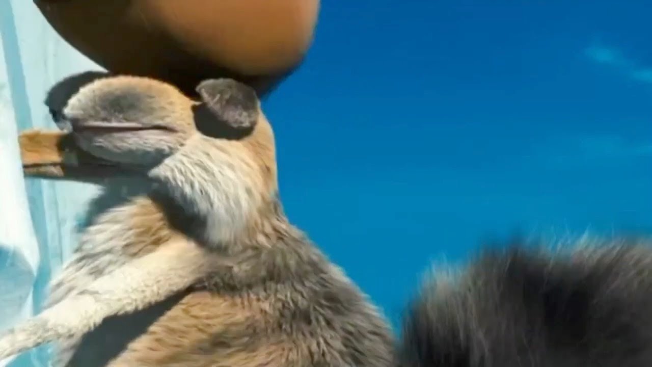 Ice Age 2: The Meltdown: Scrat (Gaming Cutscene) (16) - YouTube