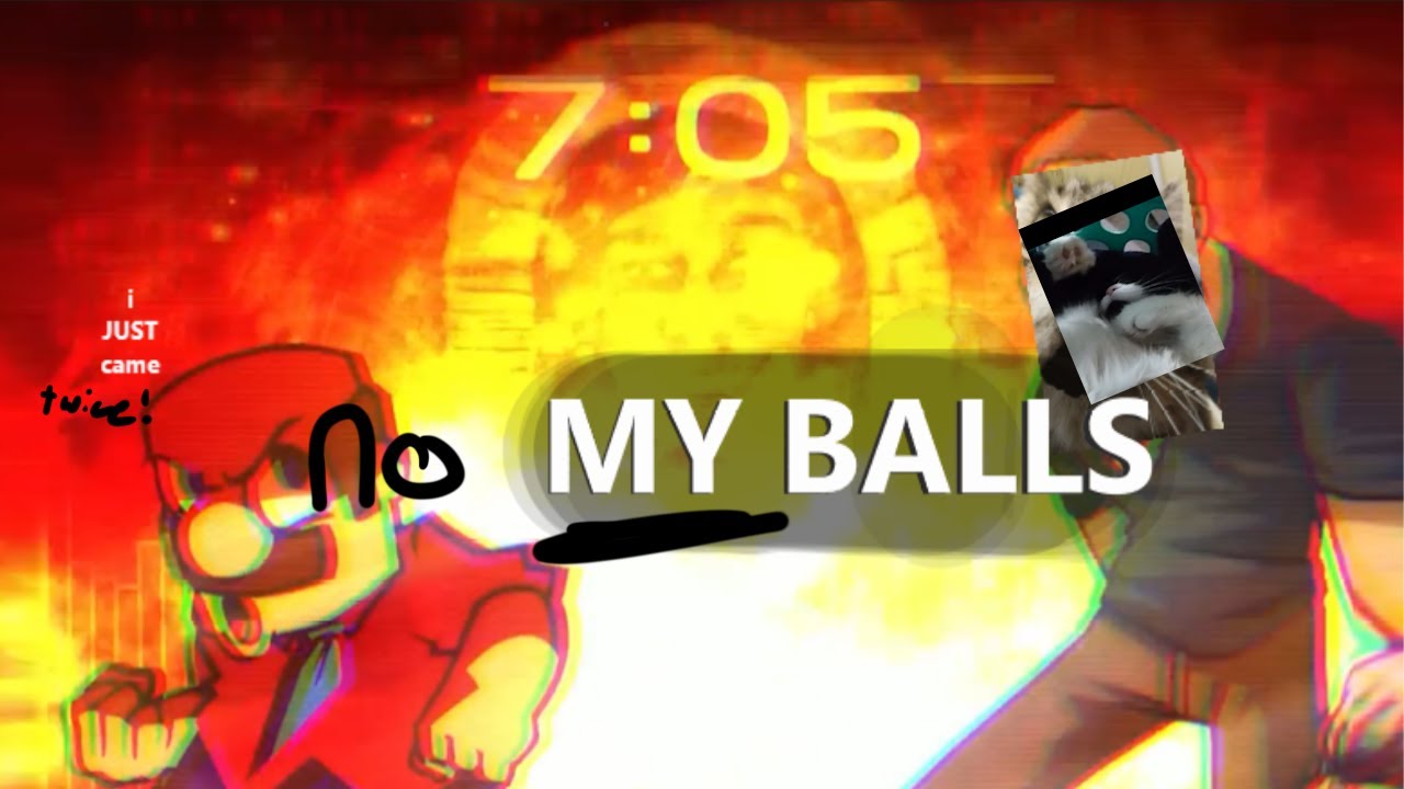 shucks but the best ‼️‼️ 😹🐱 - YouTube