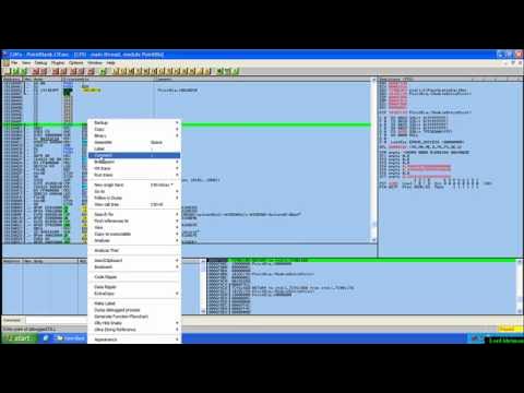 Point Blank - Bypass Hackshield via OllyDbg - YouTube