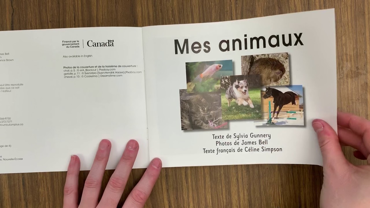 Mes animaux - French home reading - YouTube