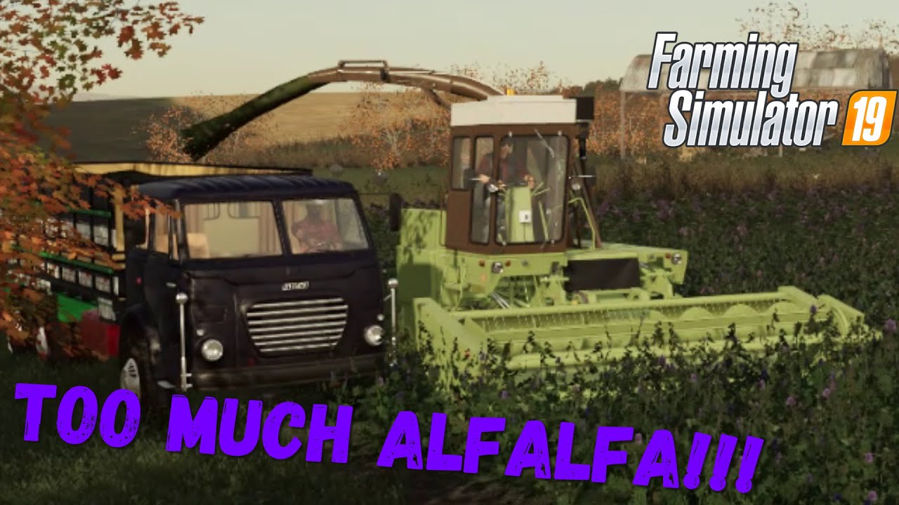 FS19 Sandy Bay Ep.32 That's A Lot Of Alfalfa!! - YouTube