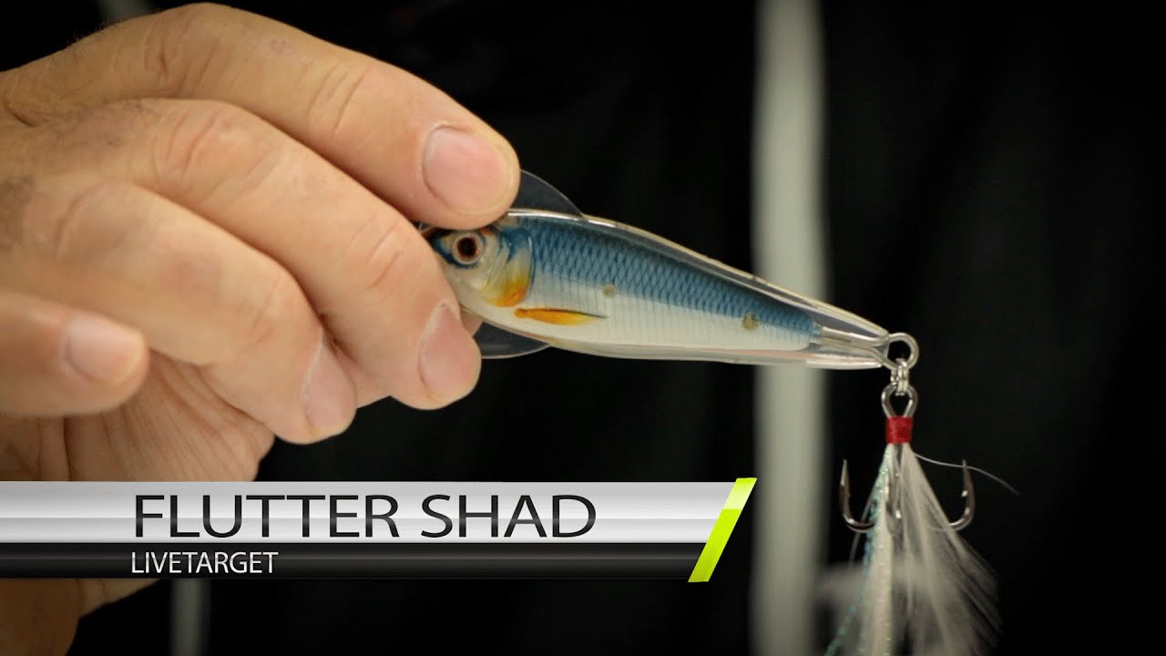 🎥 Livetarget Flutter Shad - YouTube