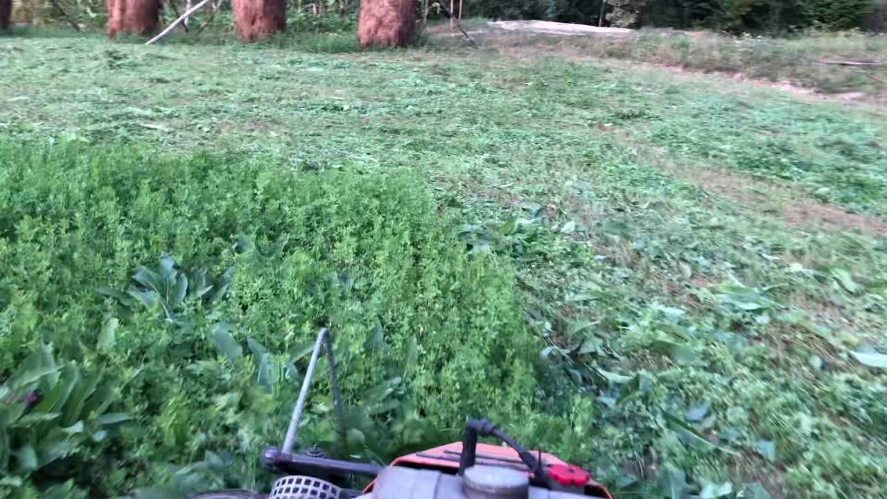 Bucher M300K motor mower - YouTube