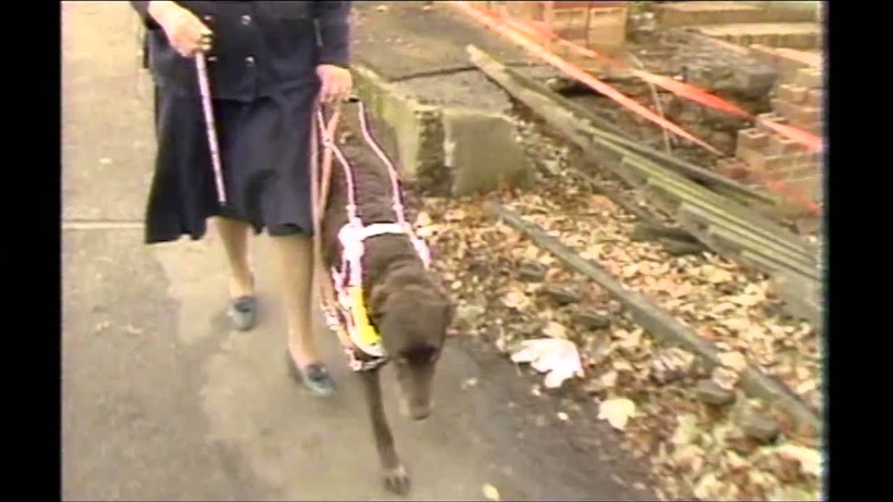 Telethon '88 Anglia Television - YouTube