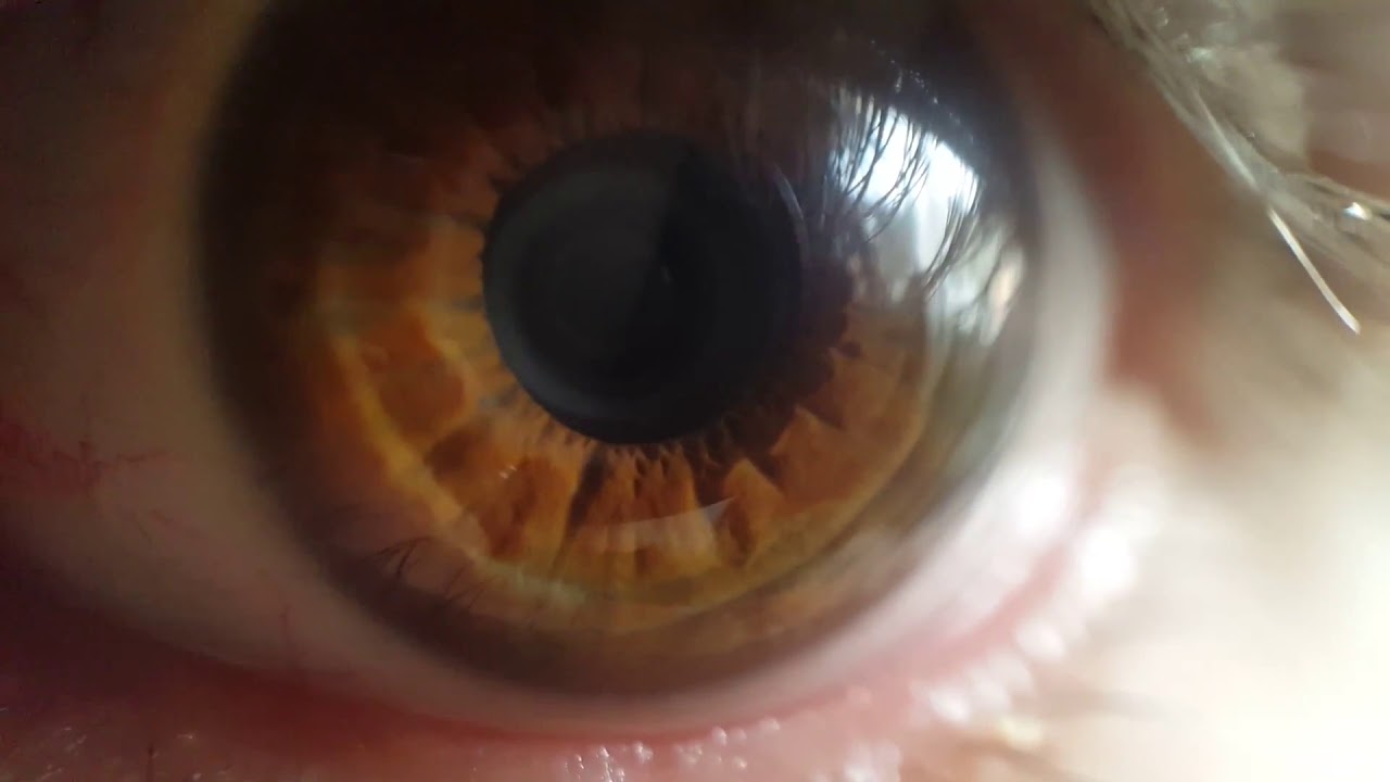 Human Eye open & closeup. Iris is opening and Closing - YouTube