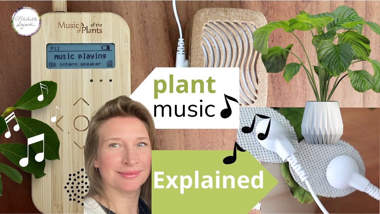 Plant music explained: Listen to the sound of plants with the help of ...