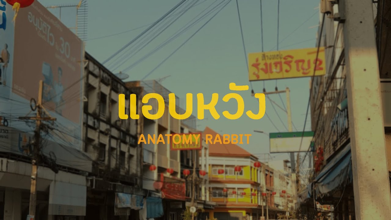ANATOMY RABBIT - แอบหวัง [ Cover MV Official ] - YouTube