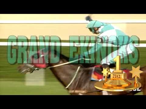 GRAND EKINOKS | Pedigri | istatistik | Rakipler