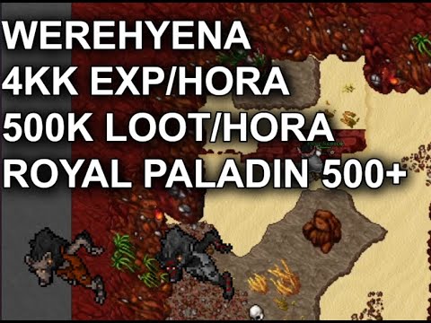 Hunt Werehyena Sul Royal paladin 500+ #tibiagame #tibiahunt - YouTube