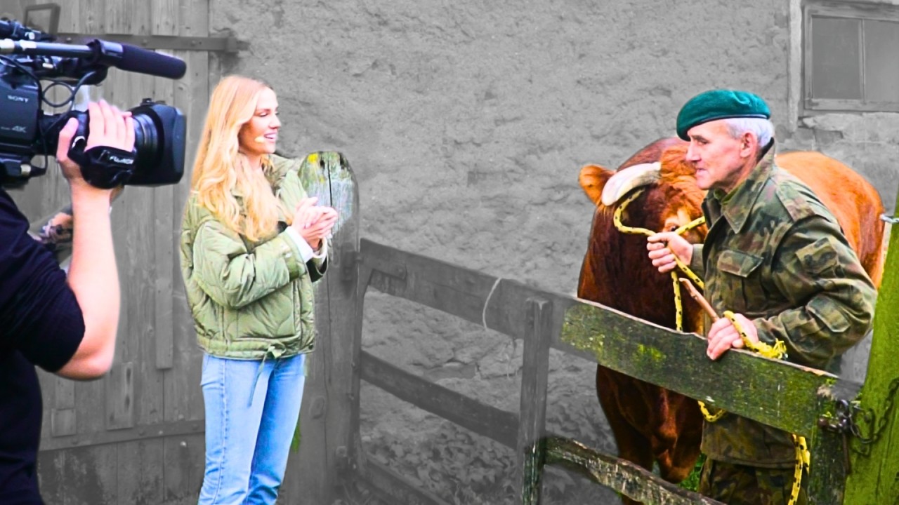 ROMEK na żywo w TVN. Byk ALI nie był w HUMORZE, ale prezenterka ...