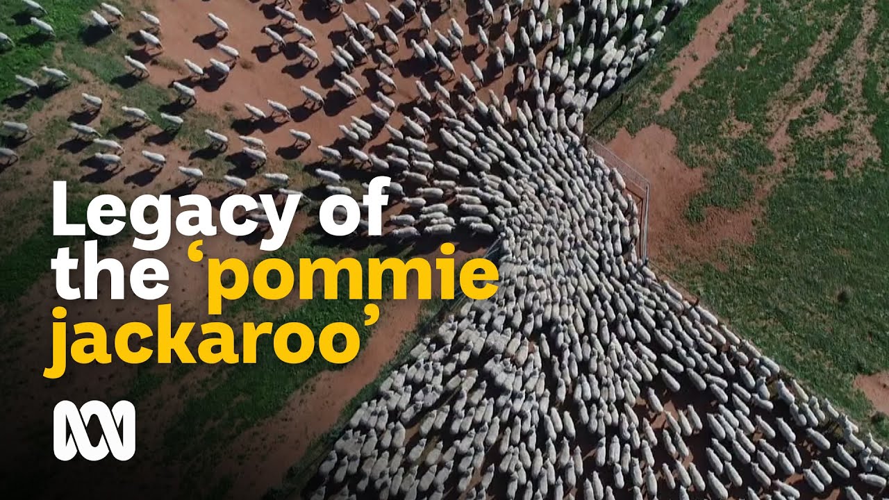 London to Australia: Living the legacy of a 'pommie jackaroo' 🤠🇬🇧 ...