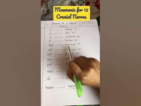 Mnemonic For 12 Cranial Nerves | #shorts - YouTube