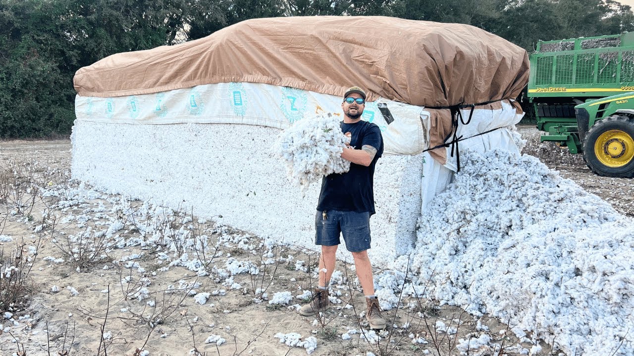 Who Made This Mess! - YouTube