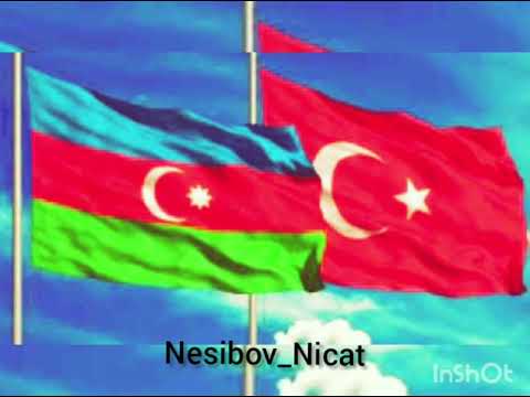 Rovsen Bineqedili Can alamaga gedirik