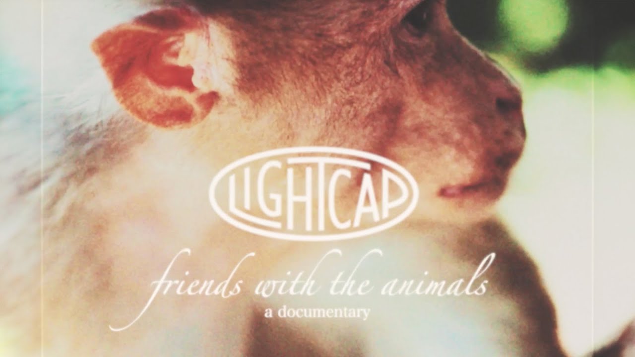 Lightcap - Waiting for Rain /// friends with the animals - episode 01 ...