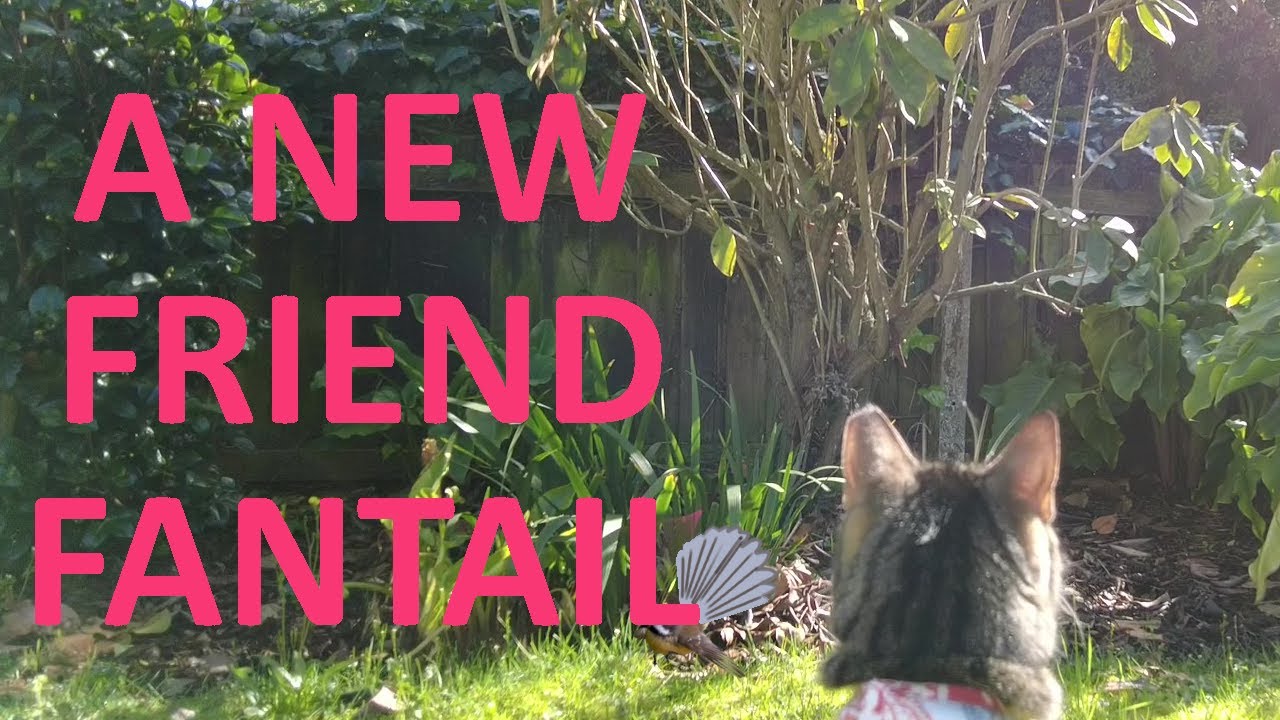 Spring has come | Go for walk with mum and meet a new friend. She is a ...