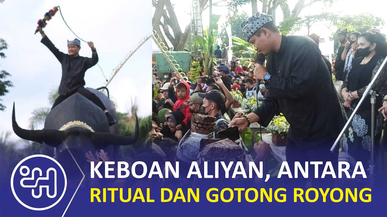 KEBOAN ALIYAN, ANTARA RITUAL ADAT DAN GOTONG ROYONG - YouTube