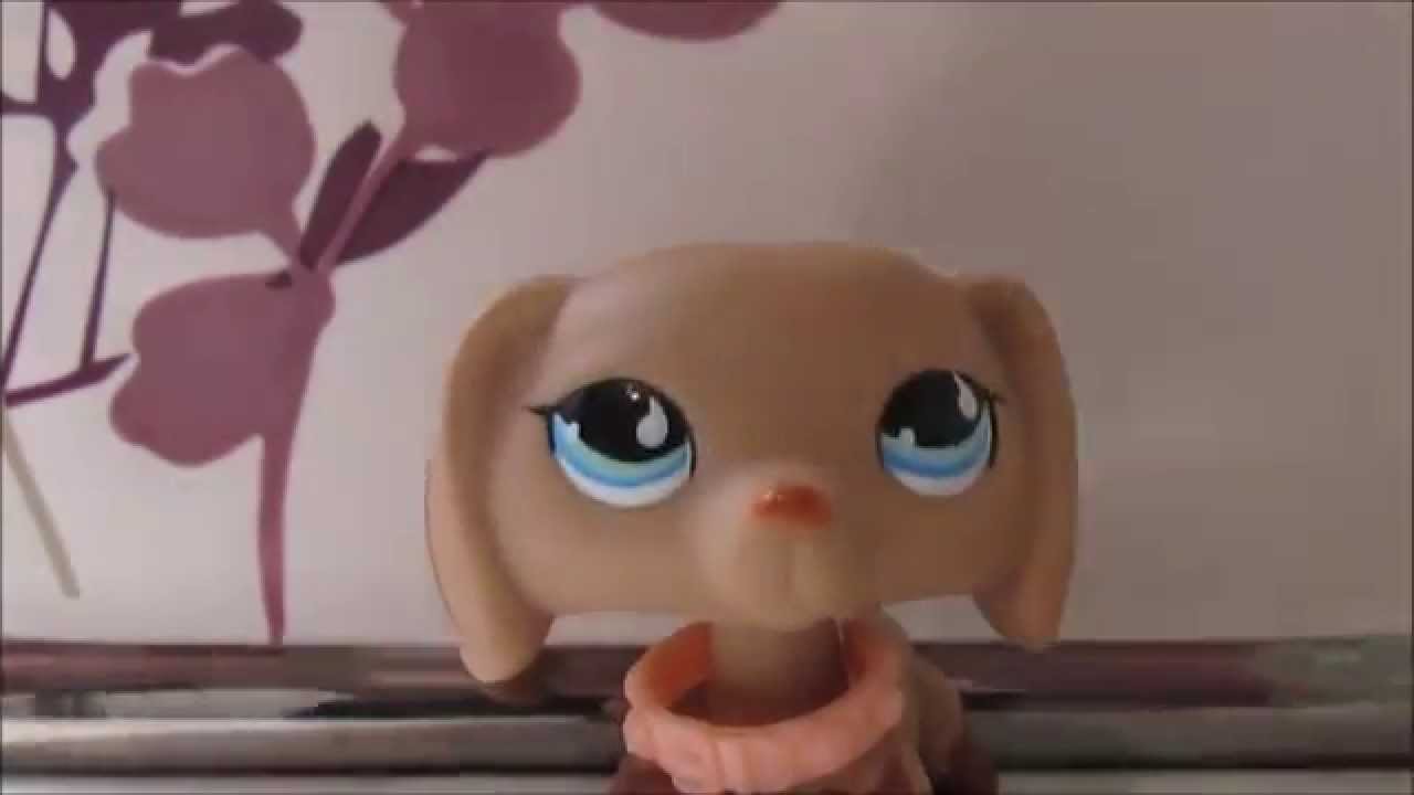 How to make an LPS computer - YouTube