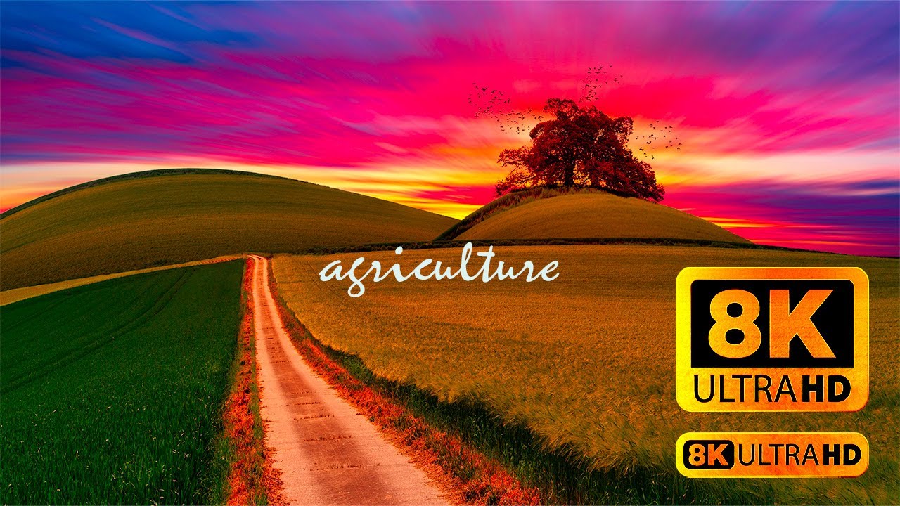agriculture in video ultra hd 8k - YouTube