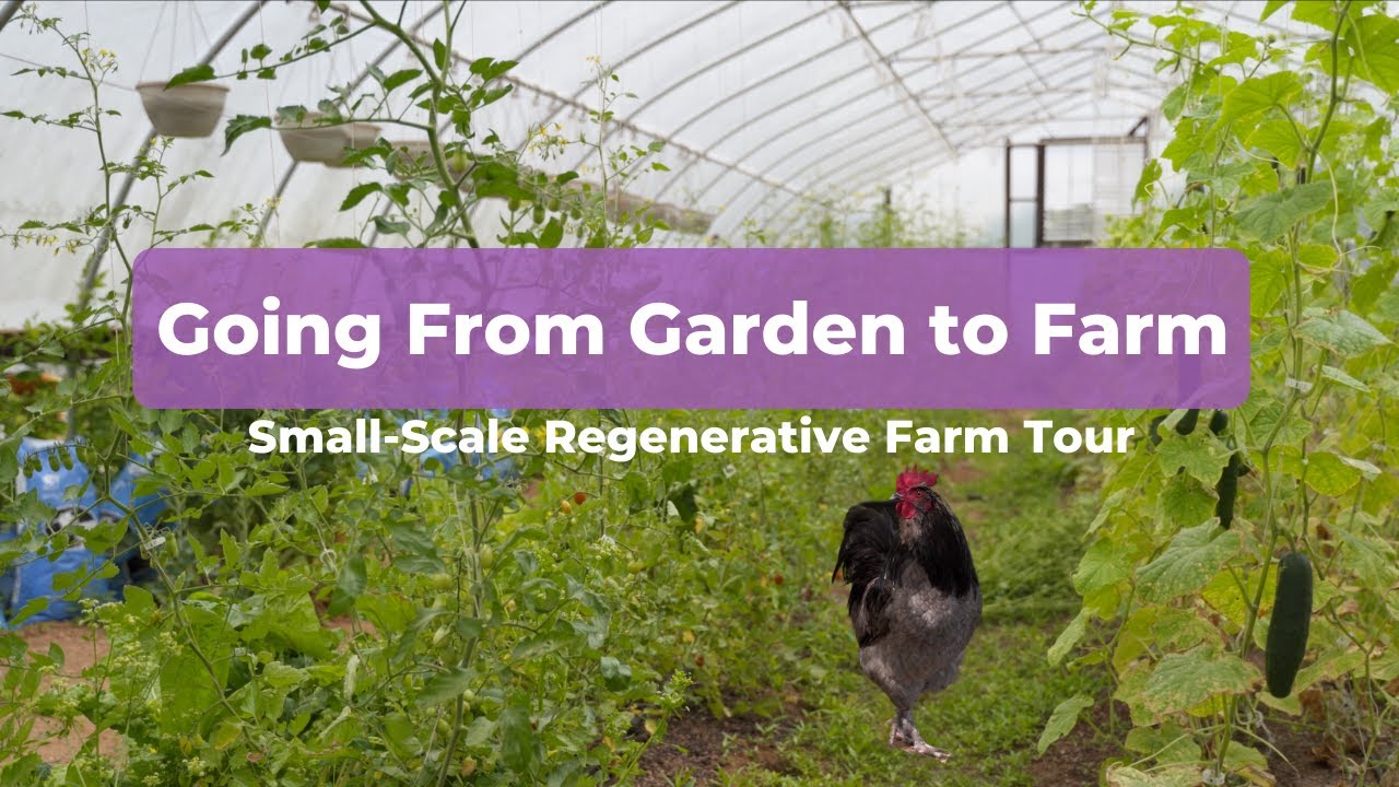 How Doing Less Can Be More: A Lesson In Regenerative Farm Practices ...