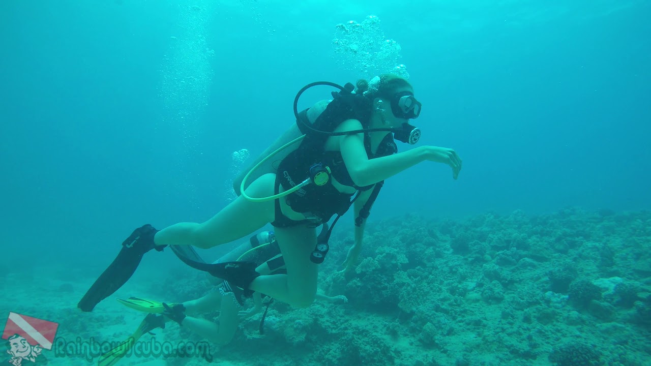 Oahu Scuba Diving - vlog 289 - YouTube