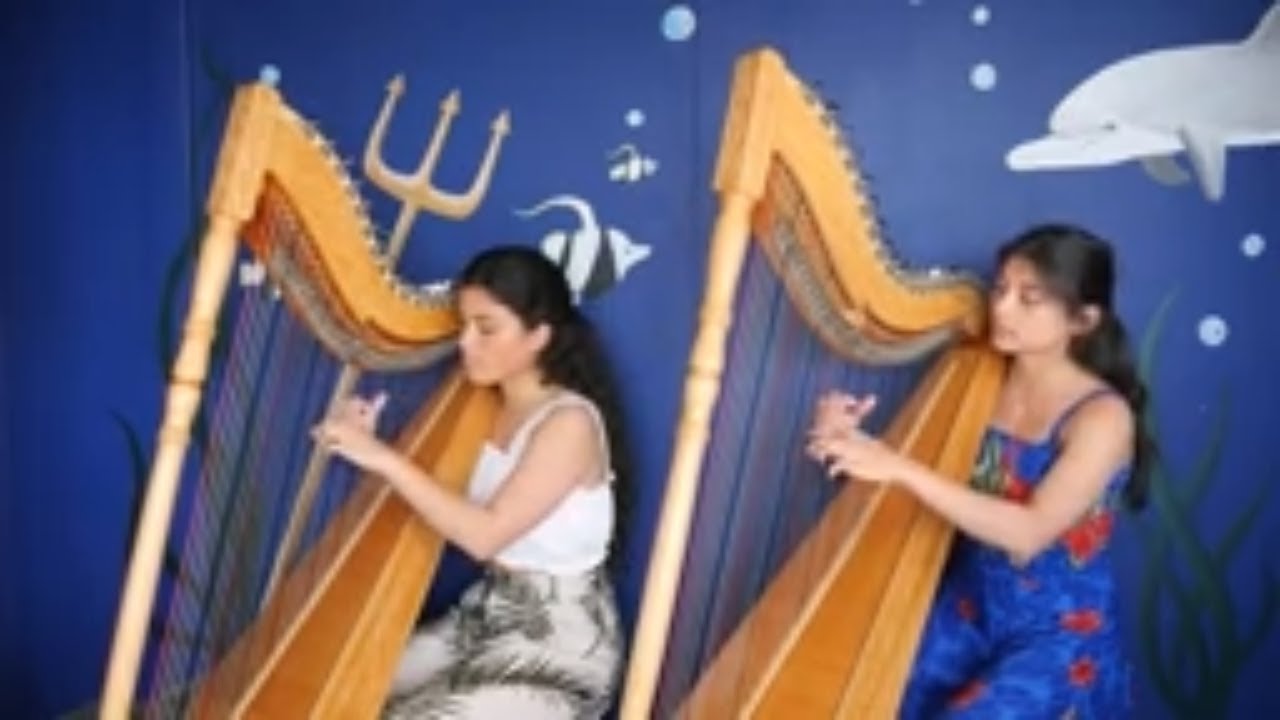 Faded Dragon - ORIGINAL harp duet - YouTube