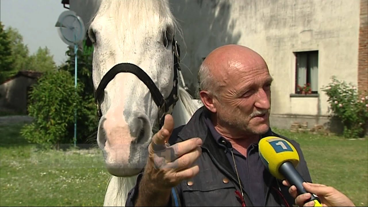 Occhio Cieco Del Cavallo Blind Eye Horse Immagini E Fotografie Stock