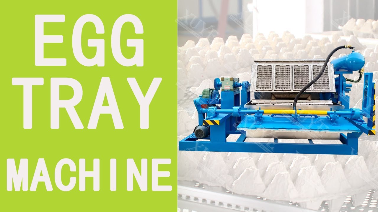 Egg tray machine with biomass burner - YouTube