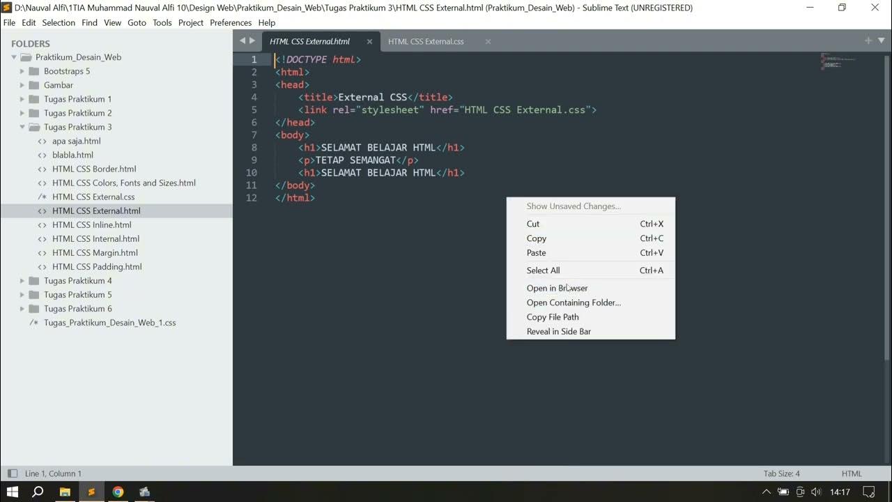 CSS Internal External & Inline - YouTube
