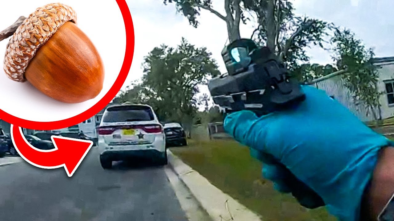 Cop Mistakes Acorn for Gunfire, Shoots Up Car with Handcuffed Suspect ...