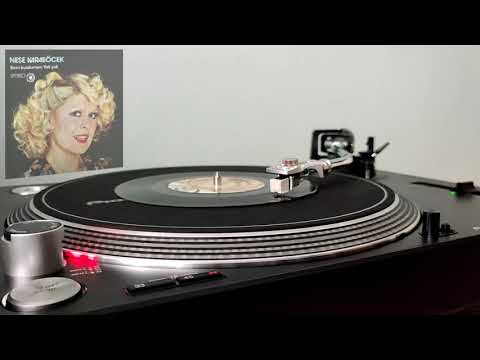 Neşe Karaböcek - Yali Yali (45'lik Plak)