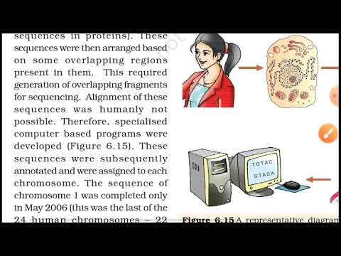 Human Genome project, Class 12 - YouTube