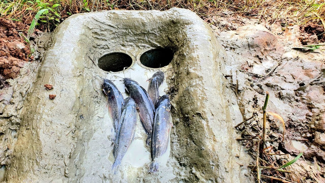 Amazing Hole Fish Trap - Smart Boy Build Fish Trap By Muddy Soil And ...