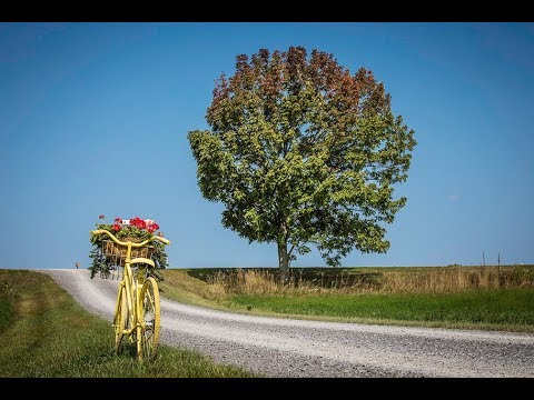 PHOTOGRAPHY COMPOSITION TIPS AND TRICKS - Take Better Photos By ...