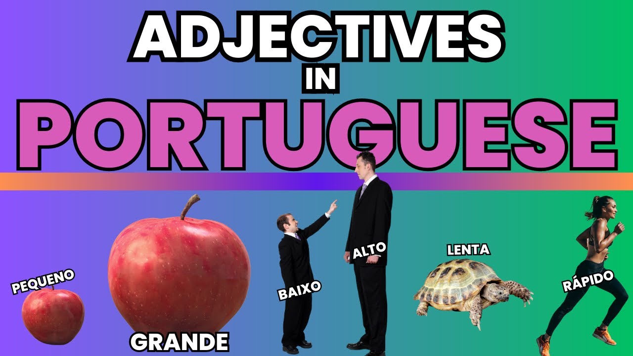 Common Portuguese Adjectives | Beginner and Intermediate Phrases in ...