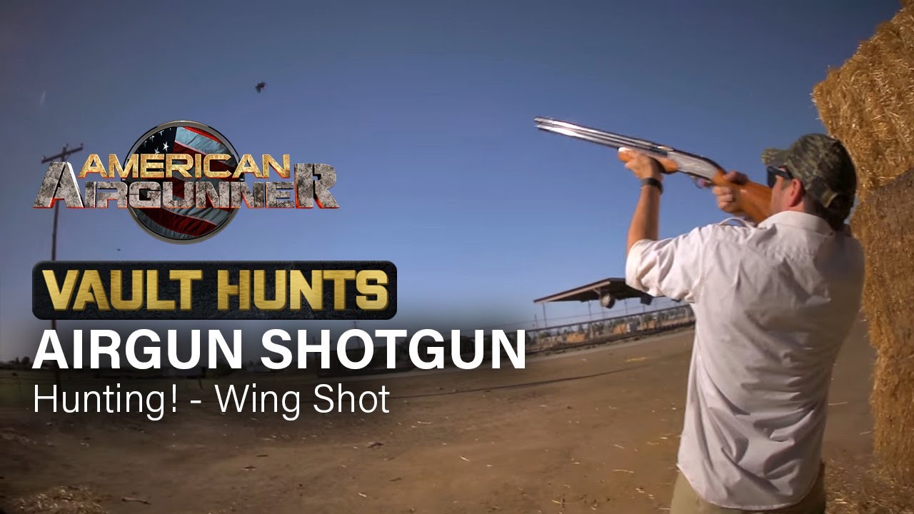 AIRGUN SHOTGUN Hunting - The Wing Shot - YouTube