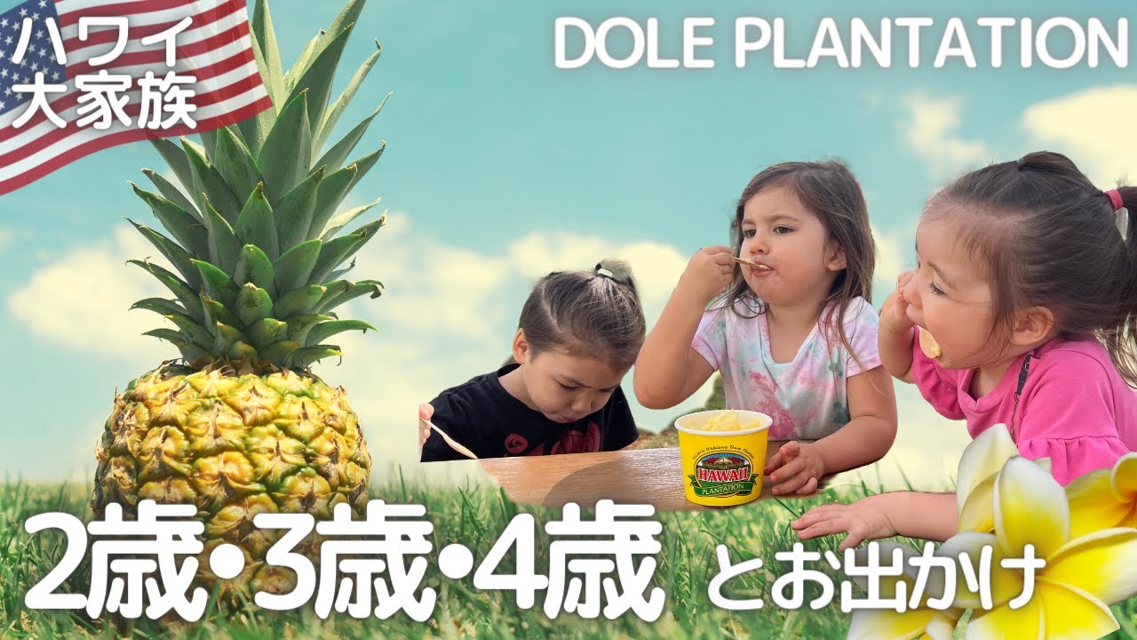 【ハワイ子育て🇺🇸】パイナップル畑へ行ってみた Dole Plantation in Oahu, Hawaii, Japanese ...