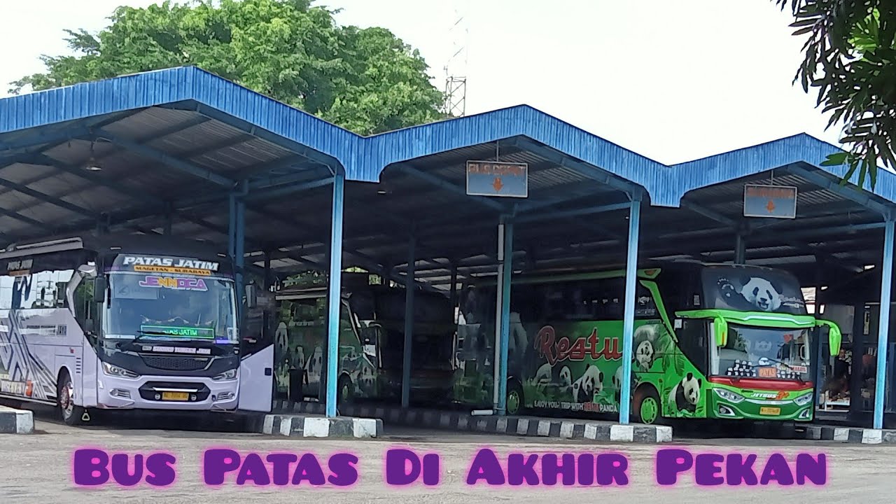 Aktivitas Bus Patas di Terminal Magetan - YouTube