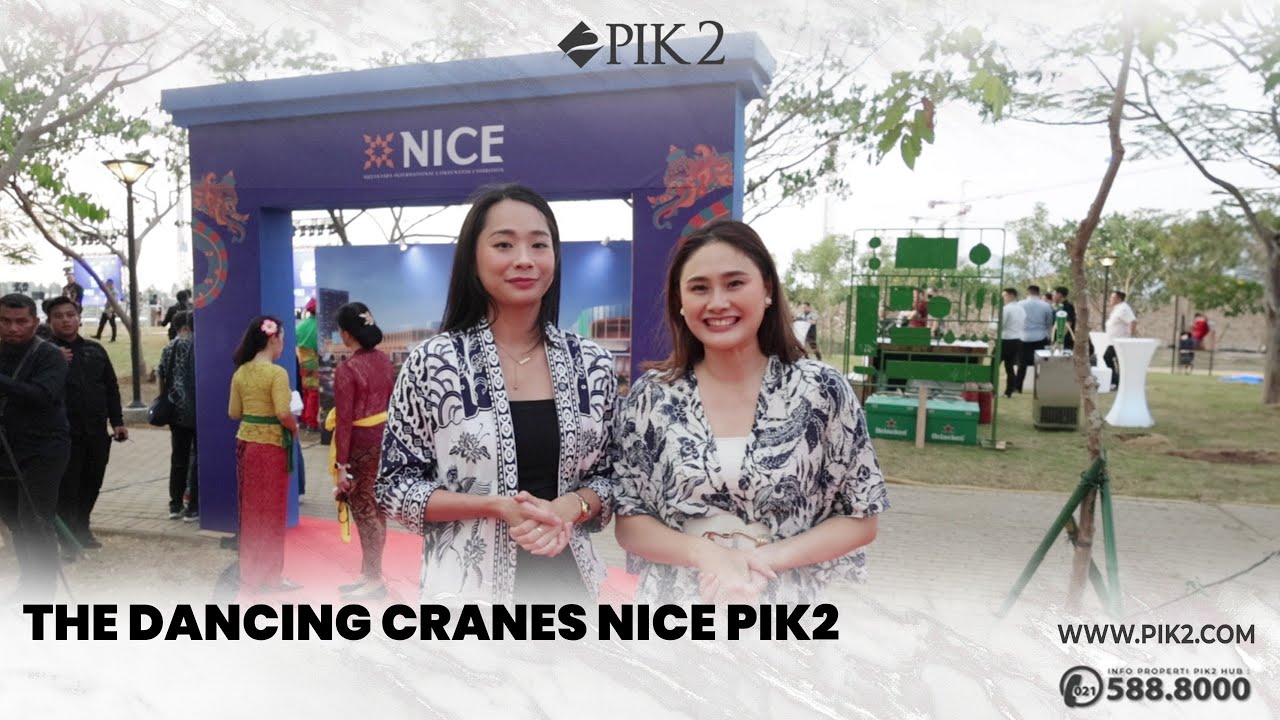 The Dancing Cranes At Nice PIK2 - YouTube