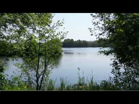 Birnie Loch and Gaddon Loch, Collessie, Fife, Relax and Enjoy a Dji ...