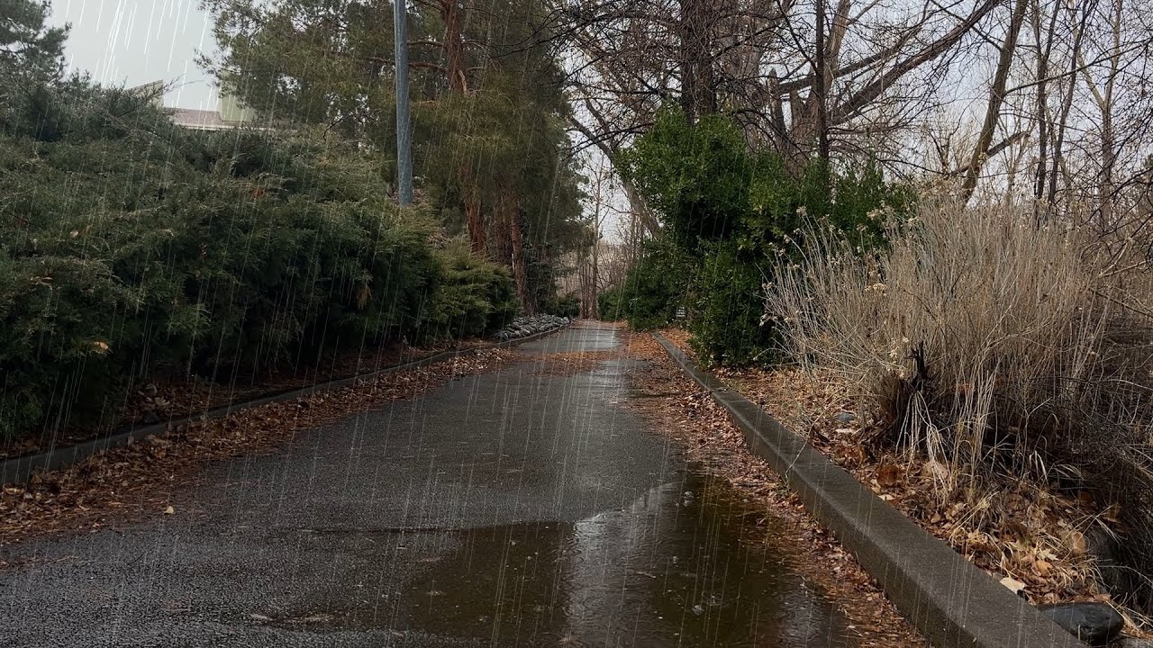 PLEASANT RAIN SOUNDS for relaxing, studying and sleeping. #rain # ...
