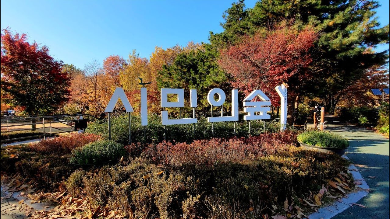Walking Tour | Yangjae Citizen's Forest Park - YouTube