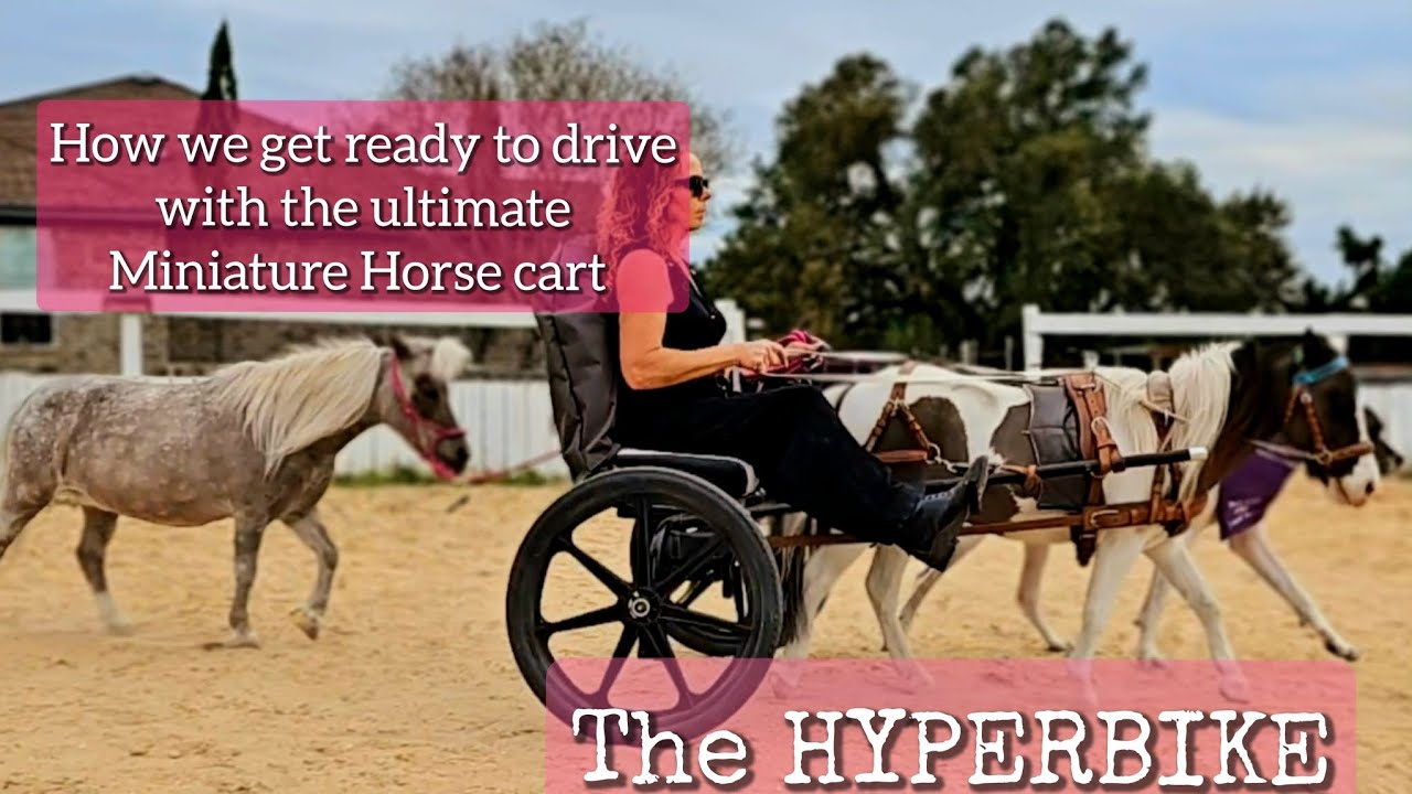 The one and only ultimate Miniature Horse cart - the HYPERBIKE! - YouTube